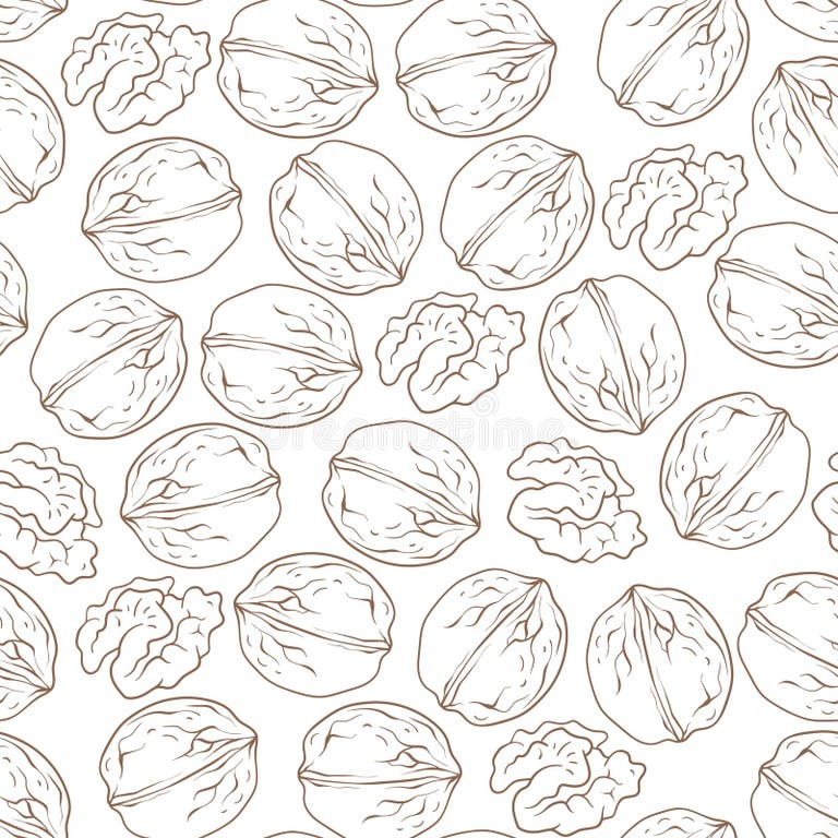 Seamless Pattern with Walnut, Line Art, Vector Hand-drawn Illustration ...