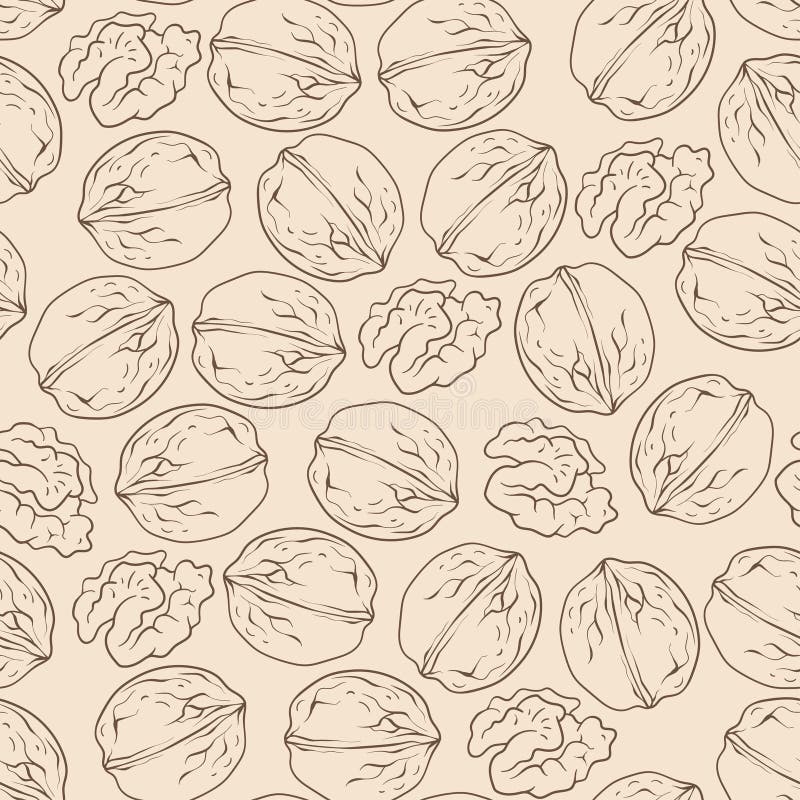 Seamless Pattern Walnut Outline Vector Hand Drawn Illustration Stock ...