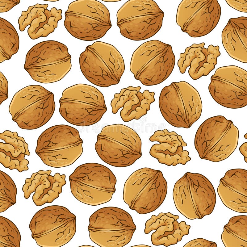 Seamless Pattern with Walnut, Vector Hand-drawn Illustration Stock ...