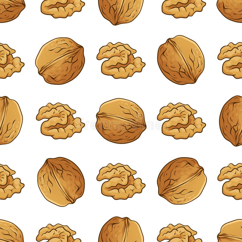 Hand Drawn Sketch Walnut Design Template Stock Photos - Free & Royalty ...