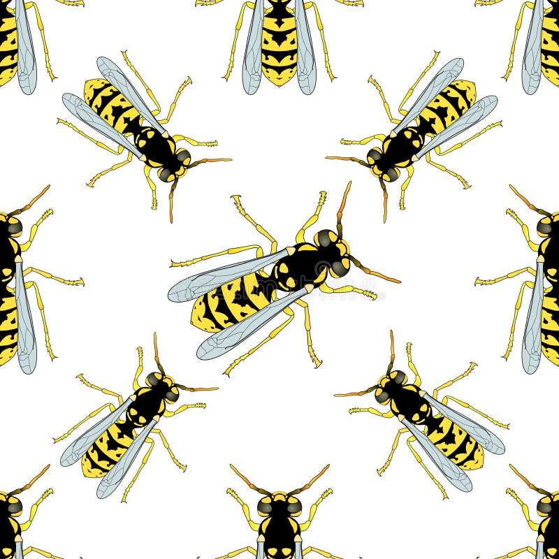 Seamless Pattern with Wasp . Hand-drawn Wasp Stock Vector ...