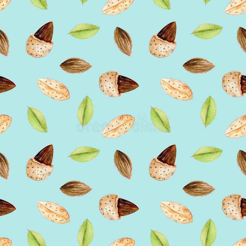 Seamless Pattern with Watercolor Almond Elements Stock Illustration ...