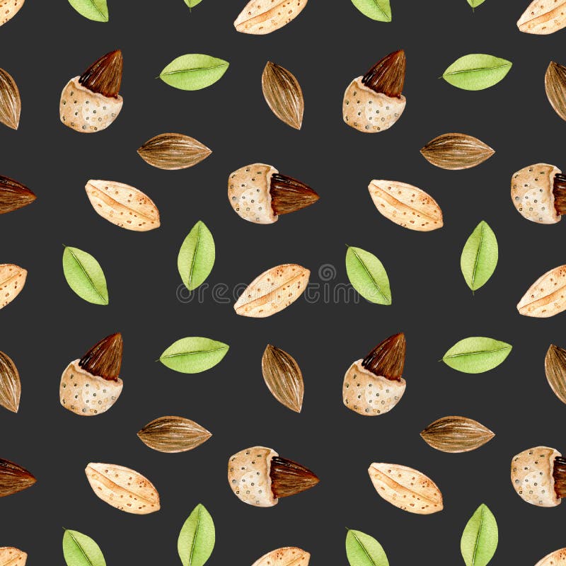 Seamless Pattern with Watercolor Almond Elements Stock Illustration ...
