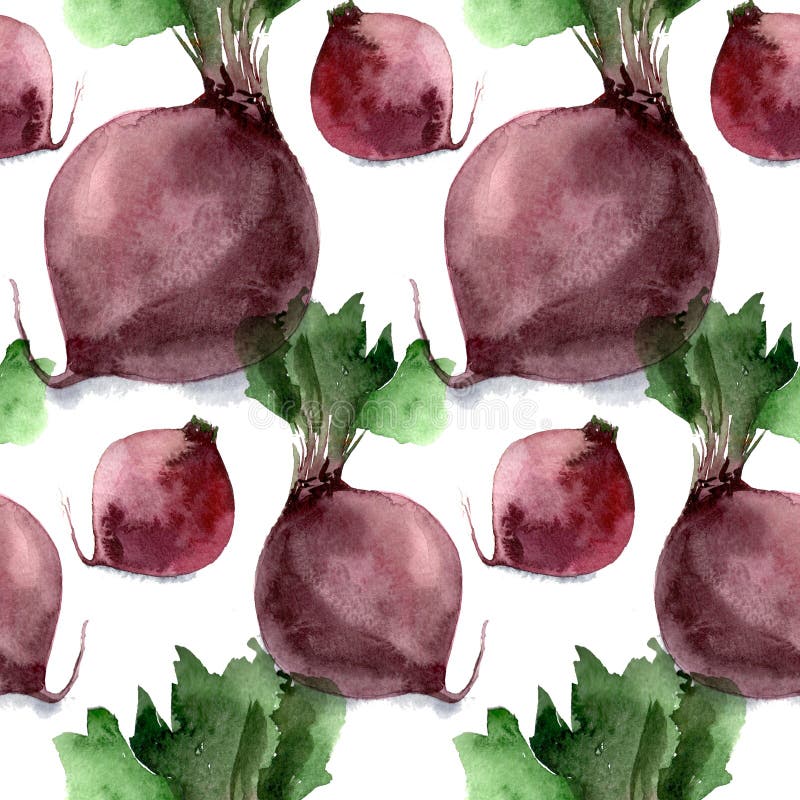Seamless Pattern Of Watercolor Beets On White Background Stock ...