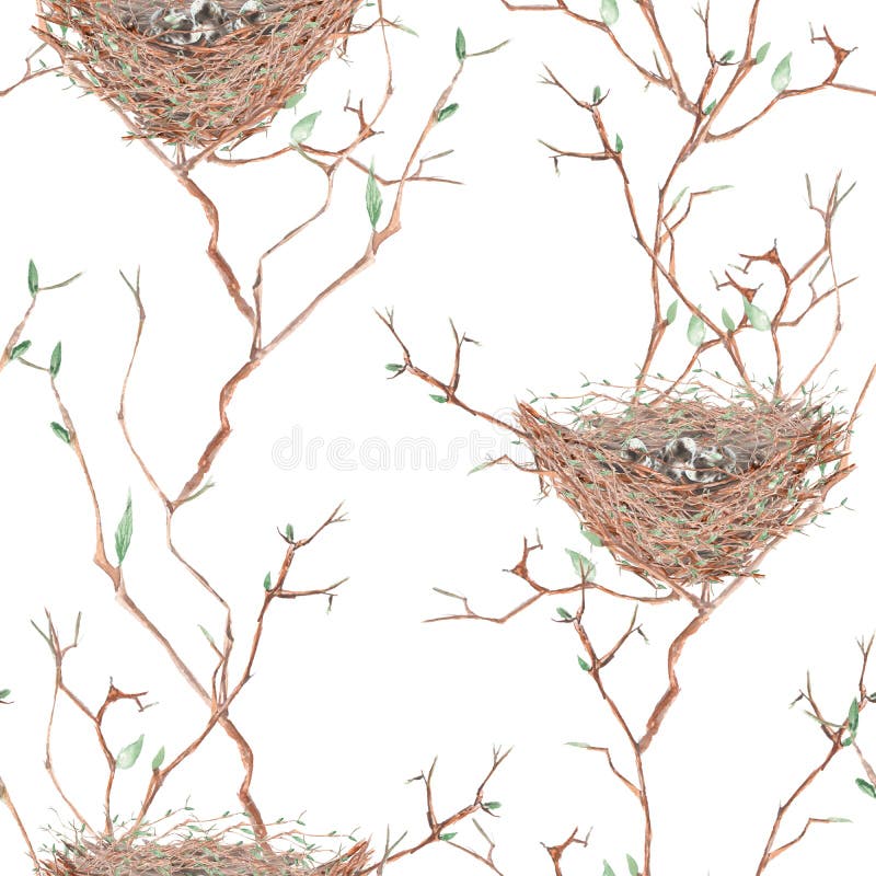 Seamless Pattern Watercolor Bird Nests Tree Branches Hand Drawn White ...