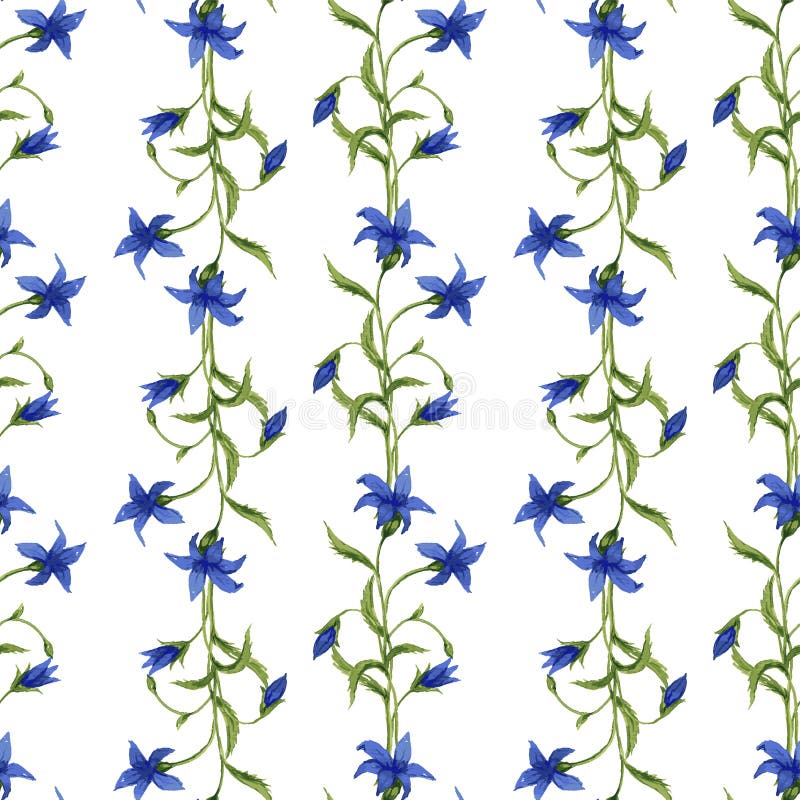 Bellflower Drawings Stock Illustrations – 50 Bellflower Drawings Stock ...