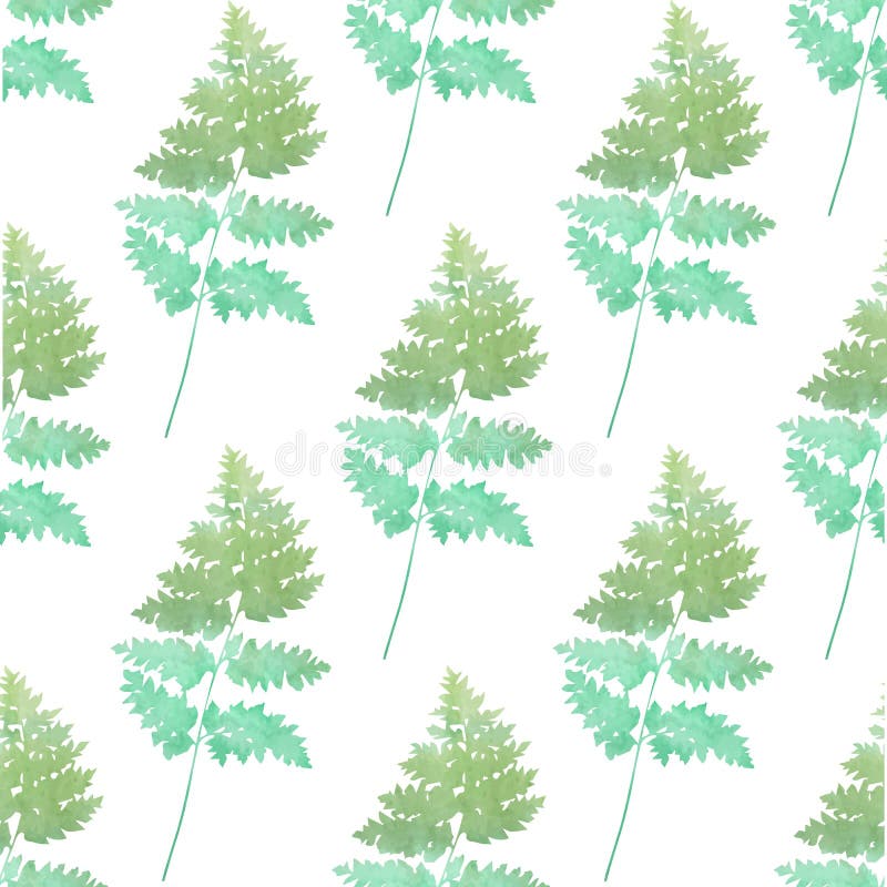 Seamless Pattern of Watercolor Ferns Stock Vector - Illustration of ...