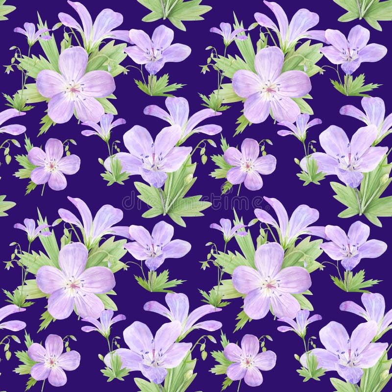 Seamless Pattern of Watercolor Geranium Flowers. Perfect for Web Design ...