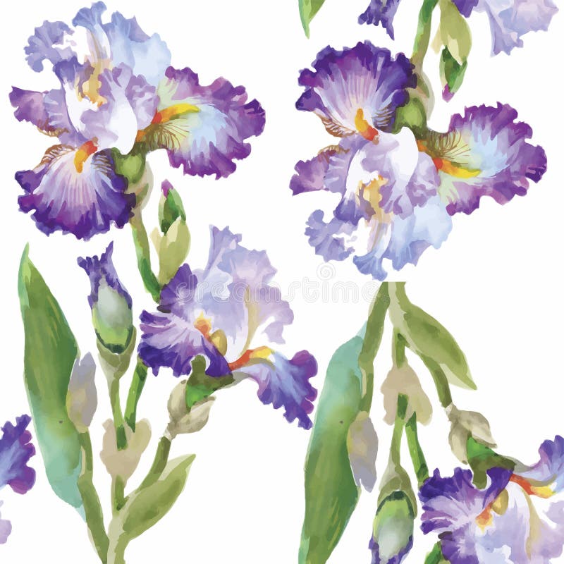 Seamless Pattern with Watercolor Irises. Vector Illustration Stock ...