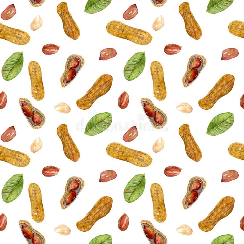 Seamless Pattern with Watercolor Peanut Elements Stock Illustration ...