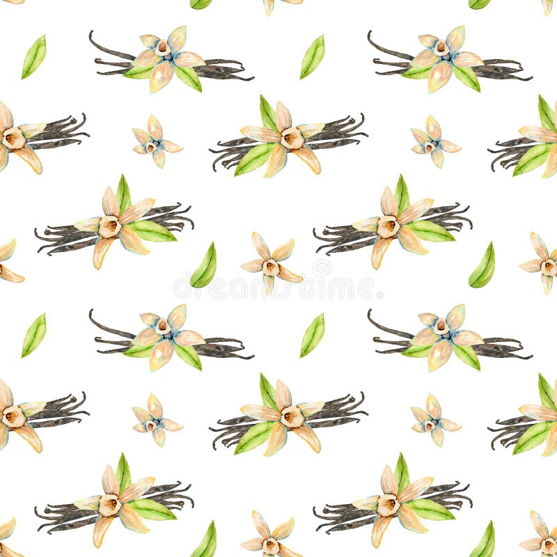 Seamless Pattern with Watercolor Vanilla Flowers Stock Illustration ...