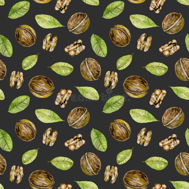 Seamless Pattern with Watercolor Walnuts Elements Stock Illustration ...