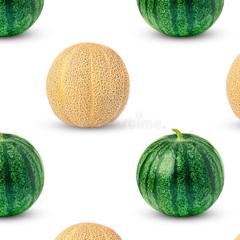 Seamless Pattern with Watermelon and Melon on White Stock Image - Image ...