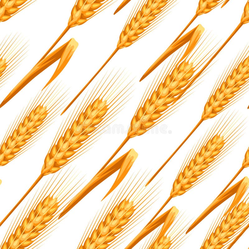 Seamless Pattern with Wheat. Stock Vector - Illustration of cereal ...