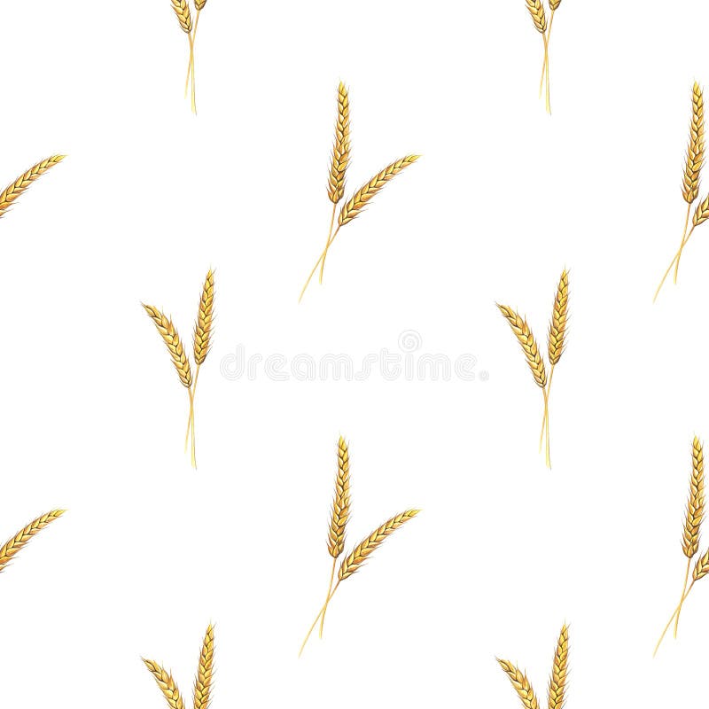 Seamless Pattern of Wheat Ears. for Wallpaper, Card Design, Packaging ...