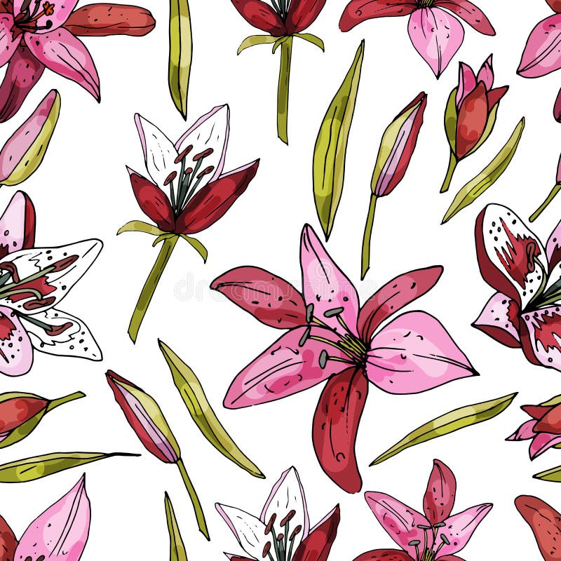 Seamless Pattern on a White Background from Blooming Lily. Delicate ...