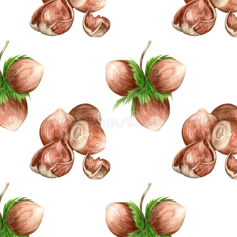 Seamless Pattern on White Background. Realistic Watercolor Illustration ...