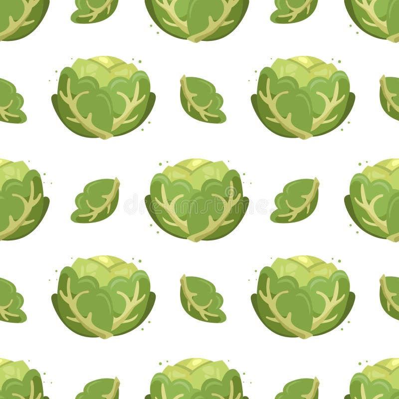 Seamless Pattern, White Cabbage, Vegetable Print. Kitchen Decor ...