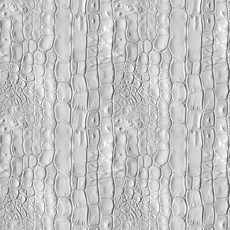 Seamless Pattern with White Crocodile Leather Texture. Stock ...