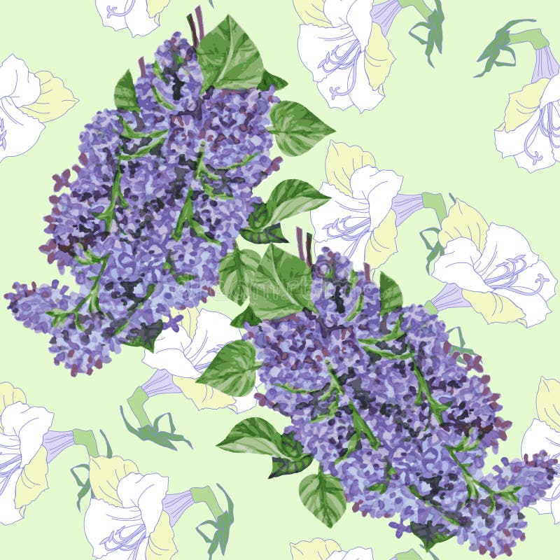 Seamless Pattern with White Flowers and Lilac Stock Vector ...