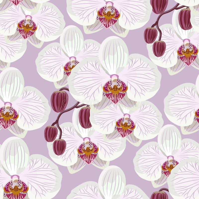 Seamless Pattern with White Orchids on Lilac Background Stock Vector ...