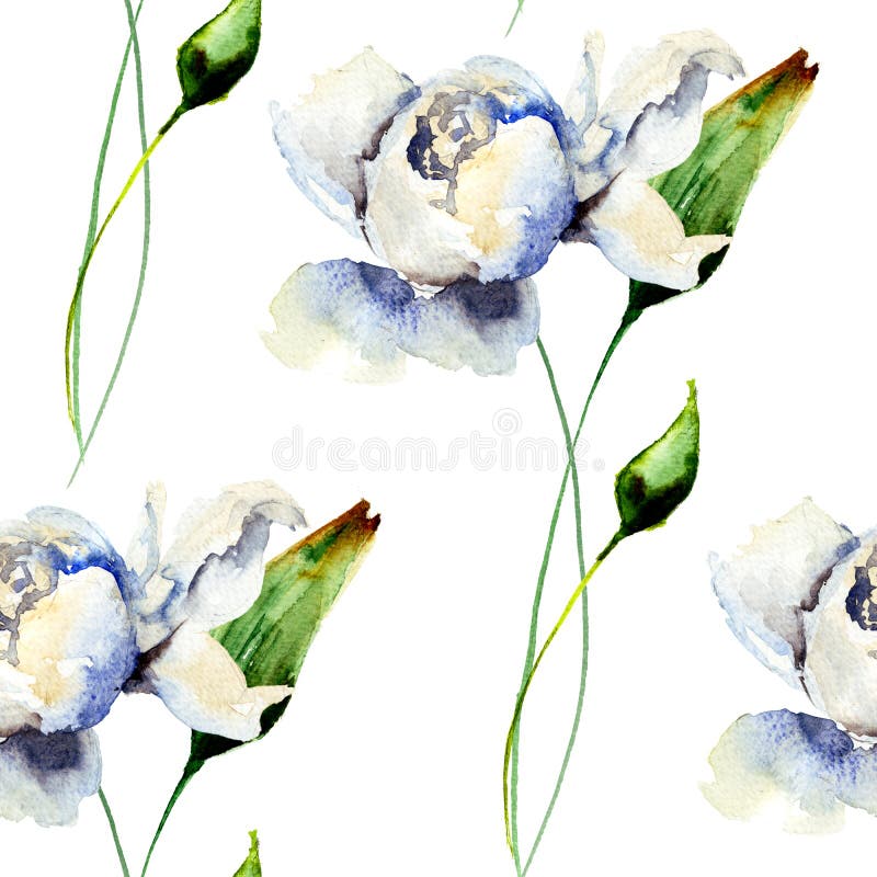 Seamless Pattern with White Peony Flowers Stock Illustration ...