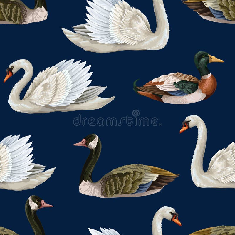 Seamless Pattern with White Swan and Duck. Vector. Stock Illustration ...