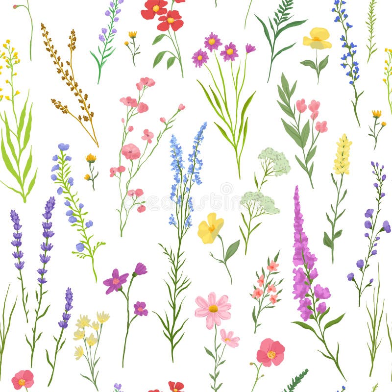 Seamless Pattern with Wildflowers and Plants Stock Vector ...