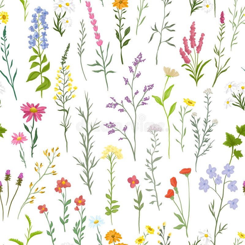 Seamless Pattern with Wildflowers and Plants Stock Vector - Illustration of sketches, foliage ...