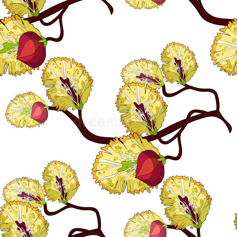Seamless Pattern Willow Branch Flower Spring Vector Illustratio Stock Vector - Illustration of ...