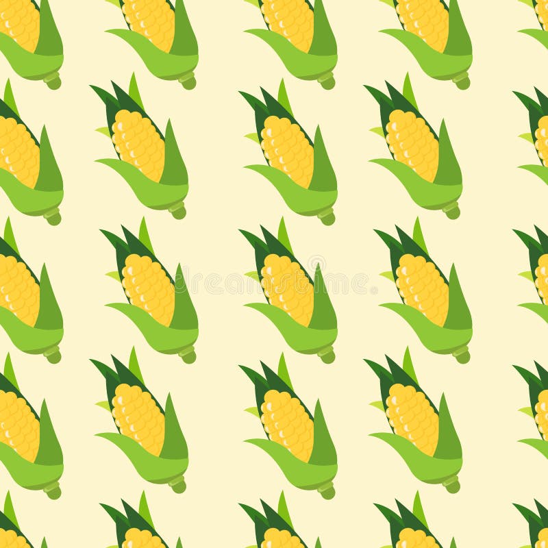 Set corn with leaves stock vector. Illustration of draw - 83952033
