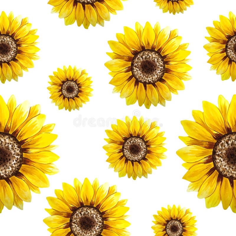 Seamless Pattern with Yellow Sunflowers Painted in Watercolor on a ...