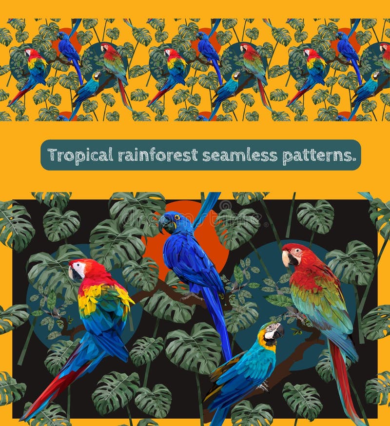 Seamless Patterns Amazon Tropical Rainforest and Macaw Birds Stock ...