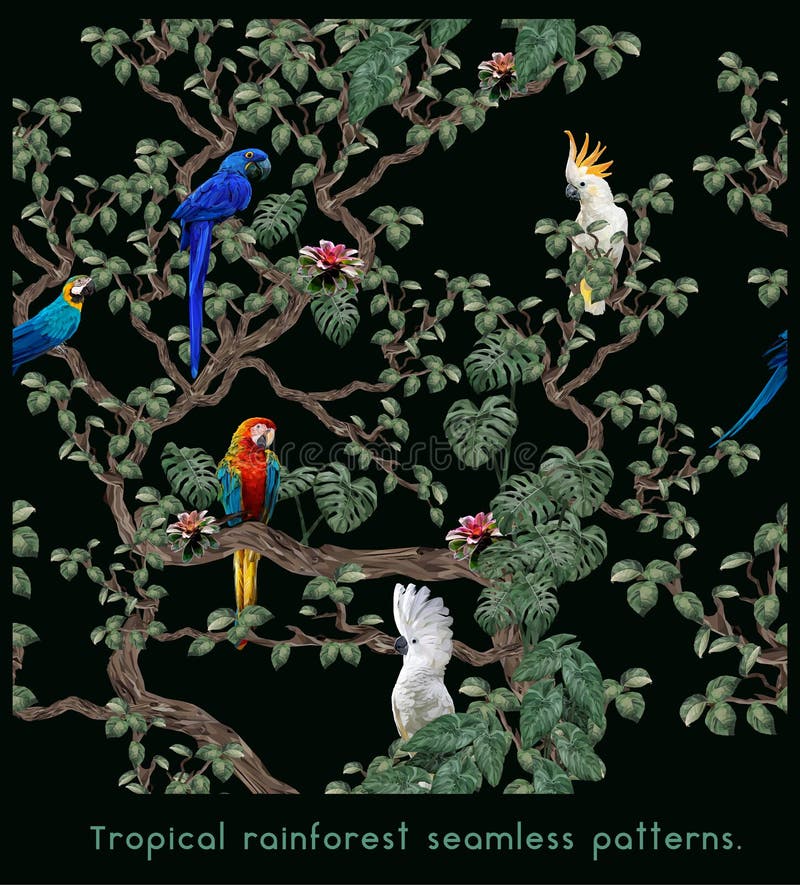 Seamless Patterns Art of Amazon Tropical Rainforest Lifes Stock Vector ...
