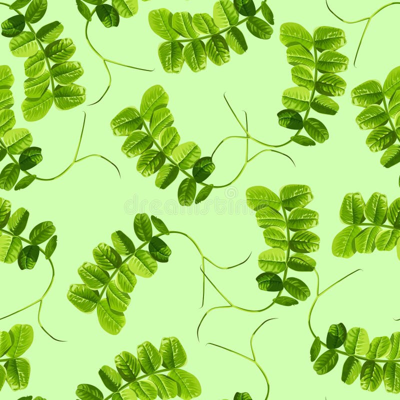 Seamless Patterns with Green Leaves Stock Illustration - Illustration ...