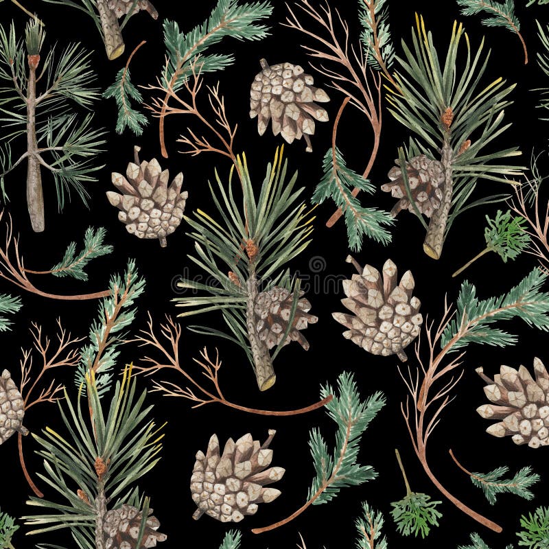Seamless Patterns with the Image of Spruce Branches Stock Illustration ...