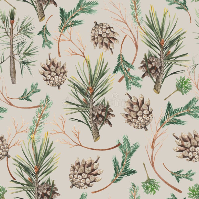 Seamless Patterns with the Image of Spruce Branches Stock Illustration ...