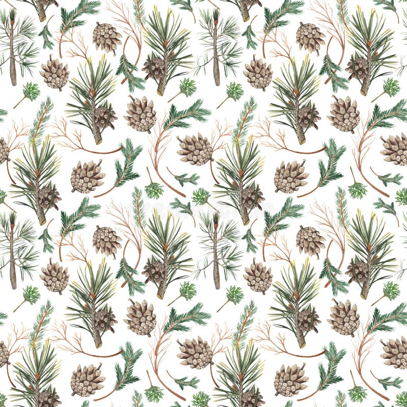 Seamless Patterns with the Image of Spruce Branches Stock Illustration ...