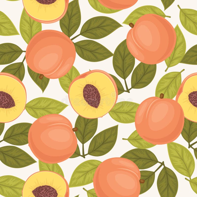 Seamless peach pattern stock vector. Illustration of background - 97245040