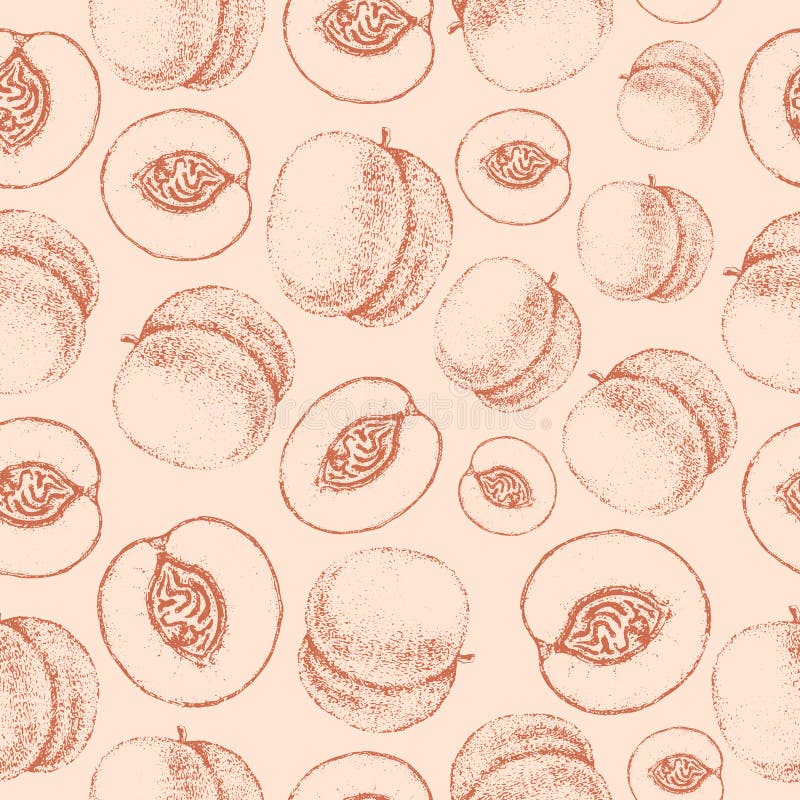 Seamless peach pattern stock vector. Illustration of menu - 75746698