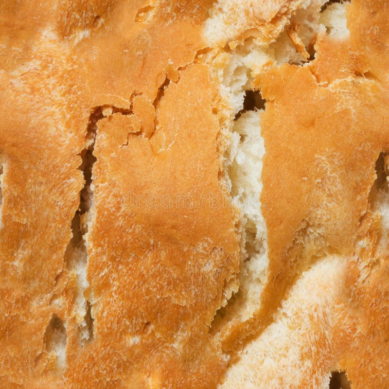 Seamless Photo Texture of Torn Bread Pastry Stock Illustration ...
