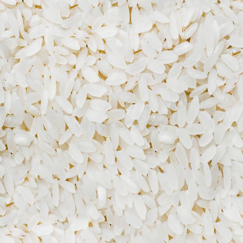 Seamless Photo Texture of White Rice Stock Image - Image of crop ...