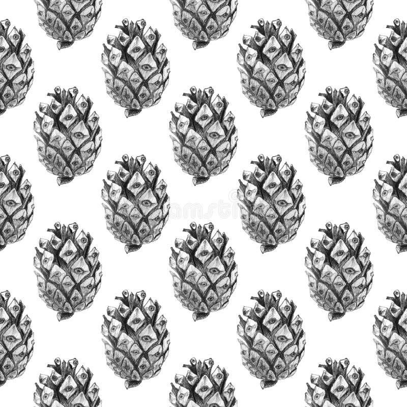 Seamless Pine Cones Pattern Stock Illustration - Illustration of plant ...