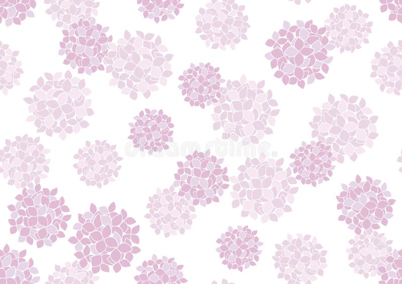 Seamless Pink Hydrangea Pattern Vector Illustration Isolated on a White ...