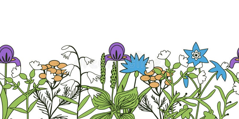 Seamless plants background stock vector. Illustration of nature - 231042043