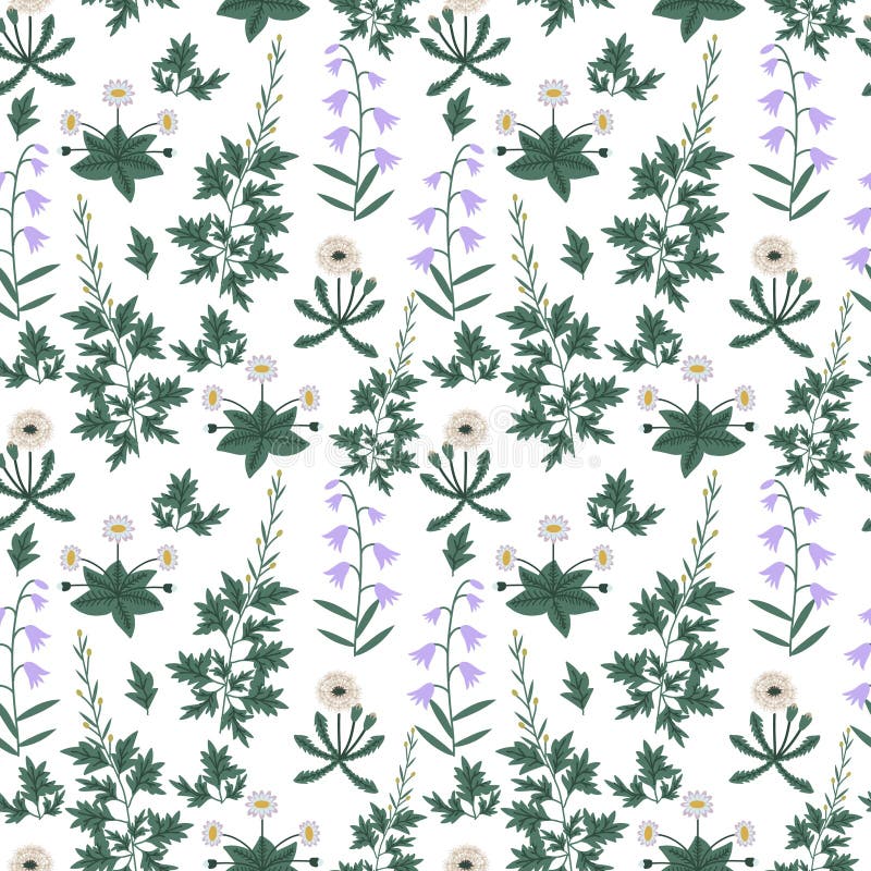 Seamless plants pattern stock vector. Illustration of daisy - 153976802