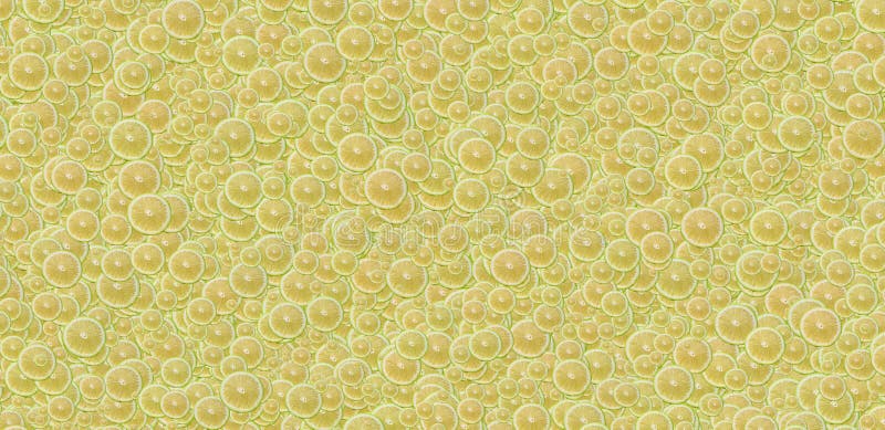 Pomelo Background Stock Illustrations – 1,468 Pomelo Background Stock ...