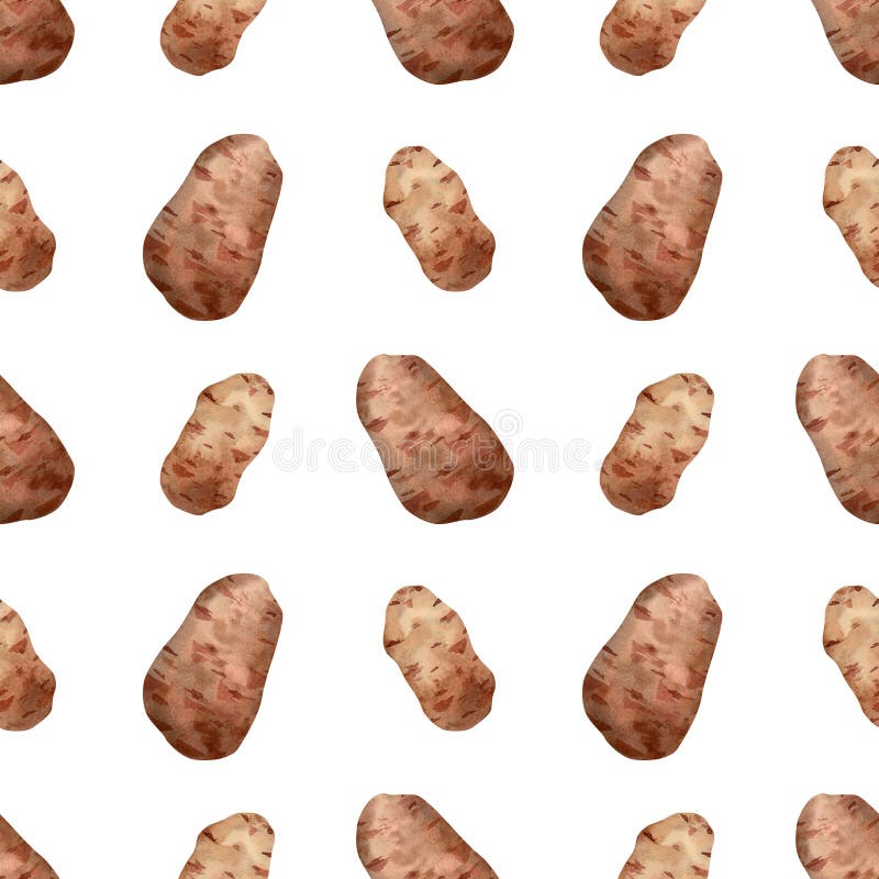 Seamless Potato Pattern. Watercolor Background with Brown Root ...