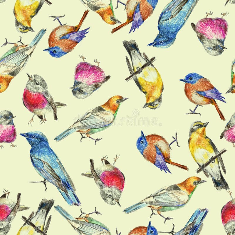Seamless Potter with Drawings of Multi-colored Birds Stock Illustration ...