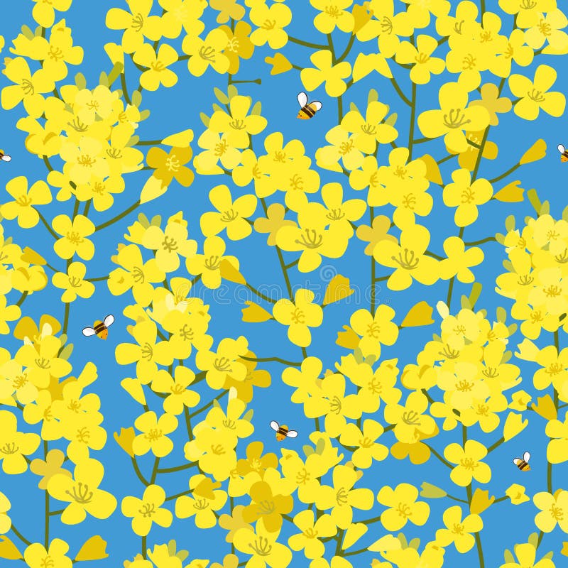 Plant Rapeseed Stock Illustrations – 1,255 Plant Rapeseed Stock ...